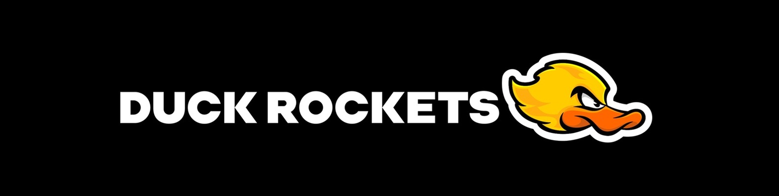 Duck Rockets | Мы создаем Fatum Aspect - остросюжетную компьютерную ...